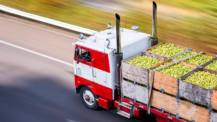 How To Transport Food Safely And Securely Motor Snippets How To Transport Food Safely And Securely Motor Snippets